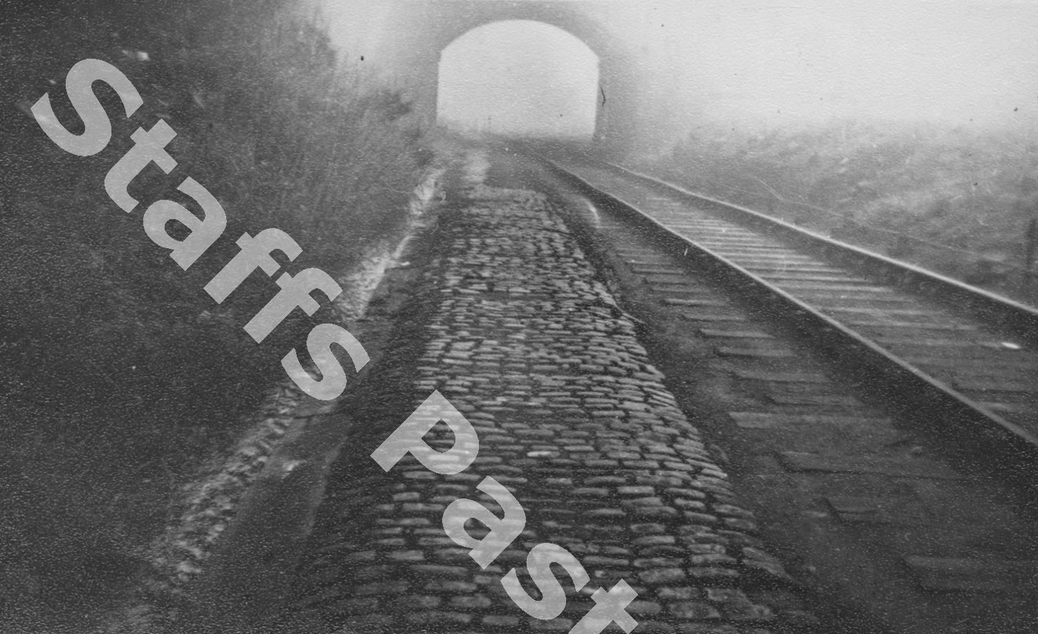 Resource Details - Staffordshire Past Track