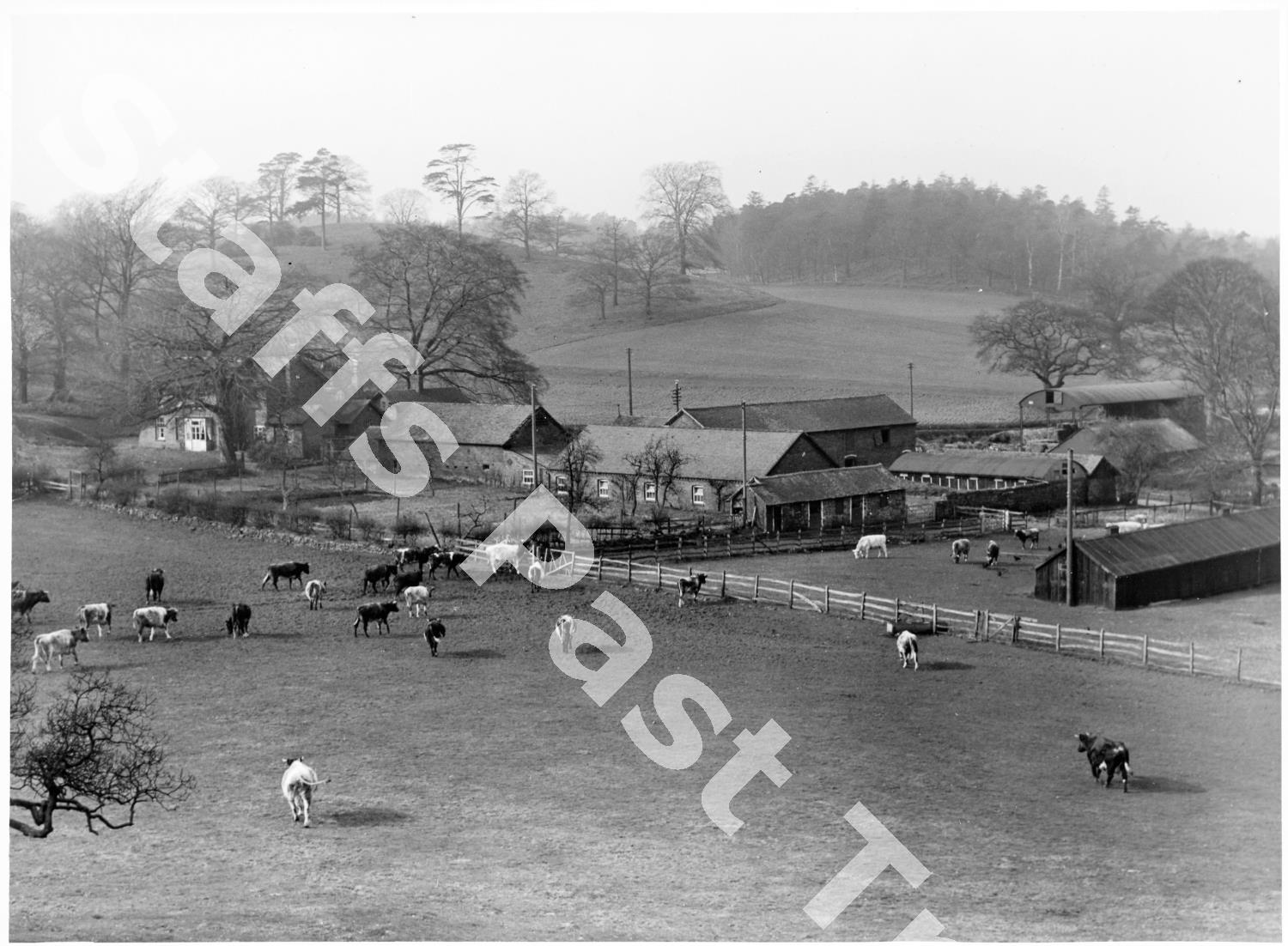Exhibition Details - Staffordshire Past Track