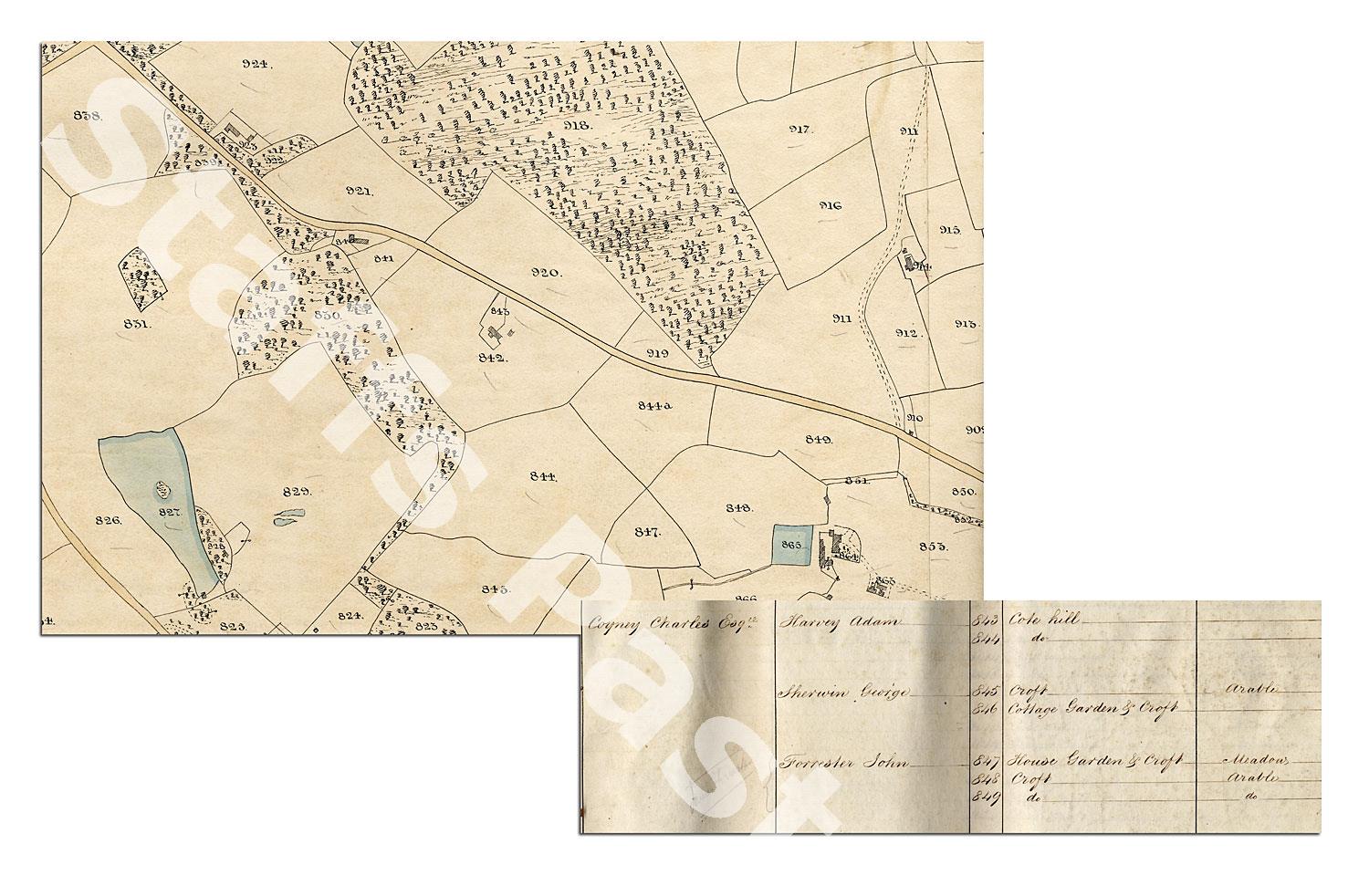 Exhibition Details - Staffordshire Past Track